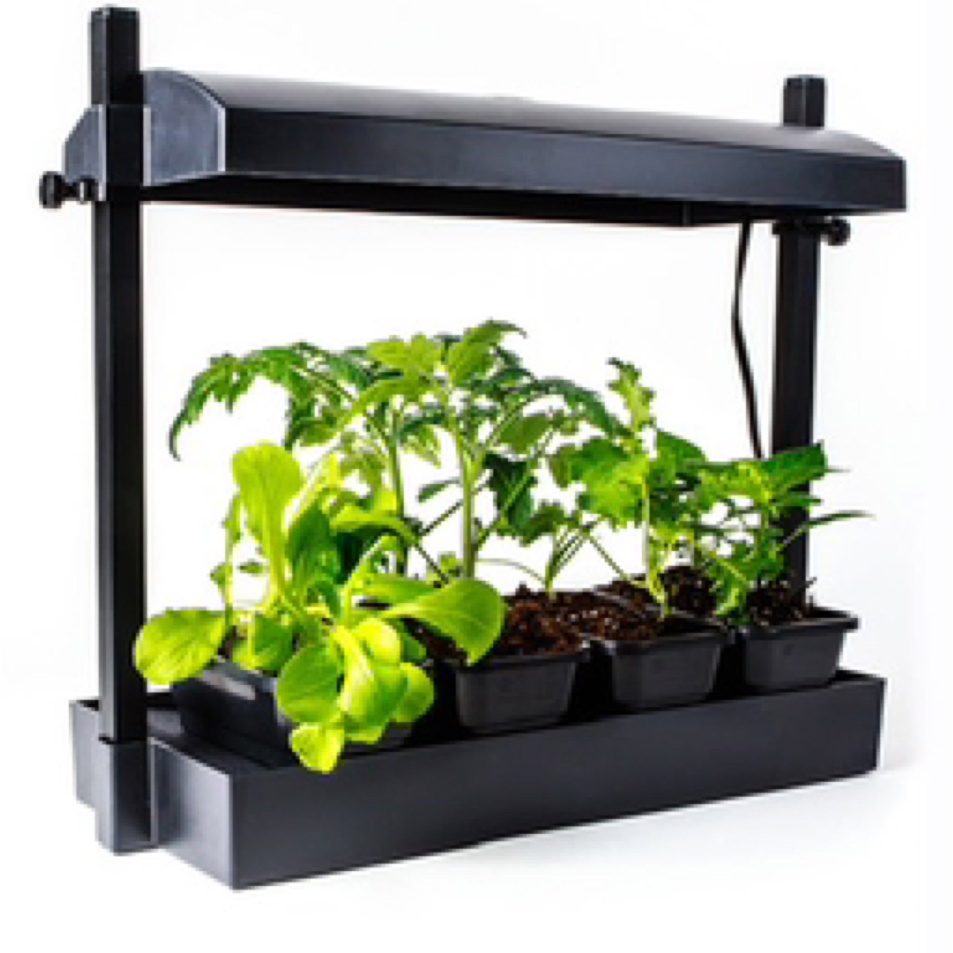 SunBlaster Micro LED Grow Light Garden, Black | SANTA ROSA GARDEN SUPPLY